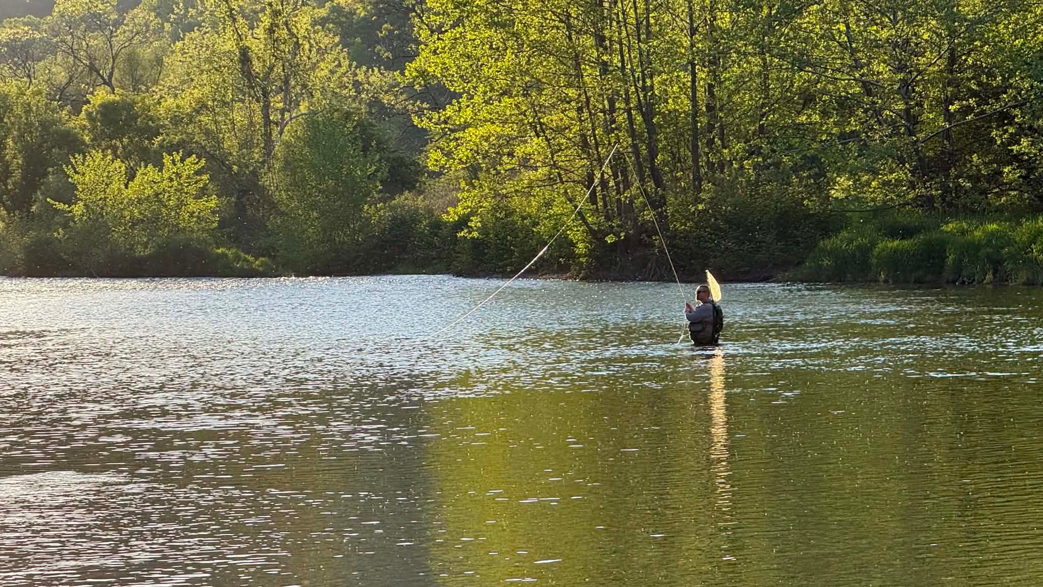 6/4/2026 Tioga County Fishing Report- Hammond Lake, Tioga Lake, Cowane ...