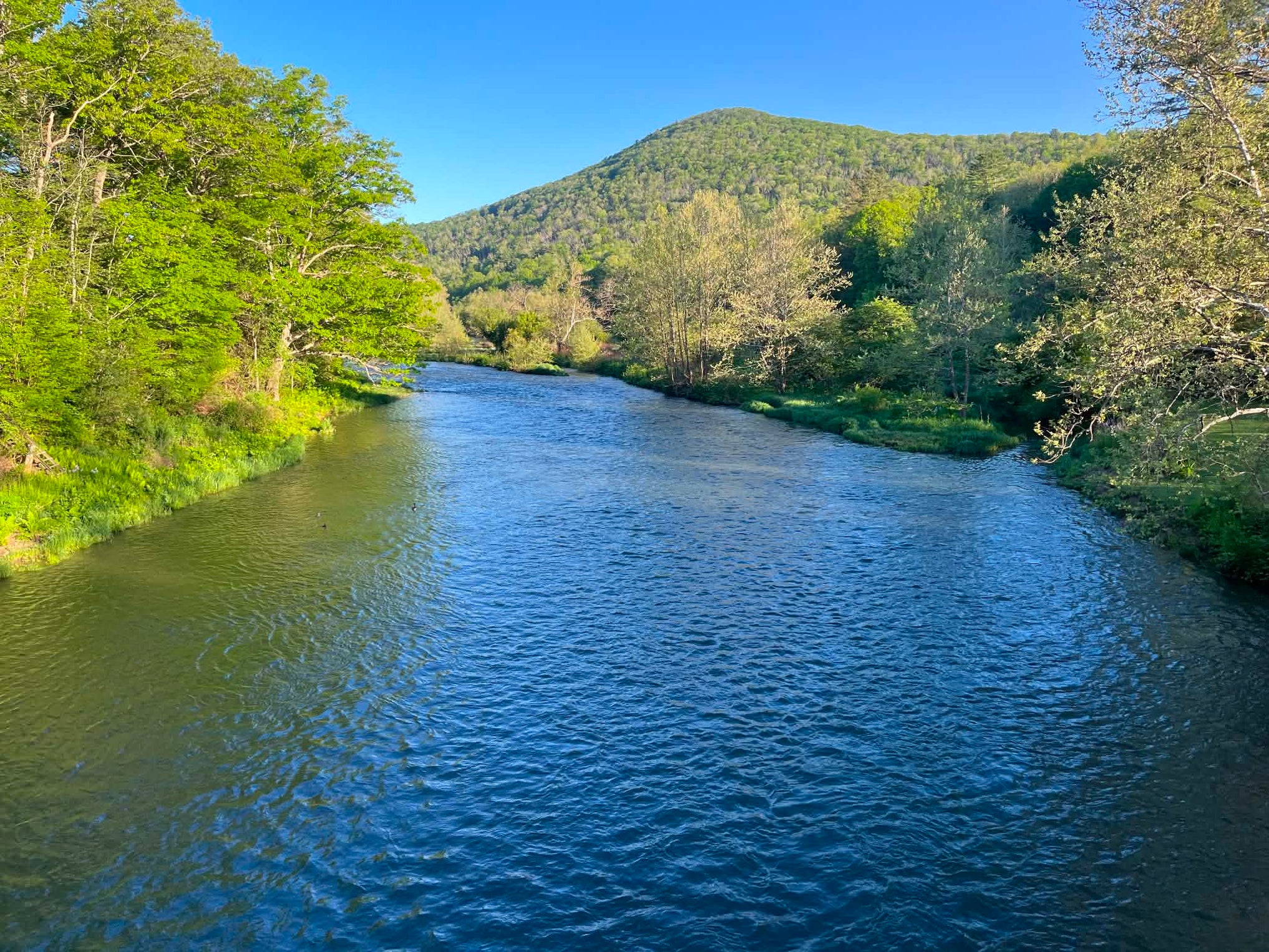 5/28/2026 Upper Pine Creek Fly Fishing and Hatch Report — Tackle Shack